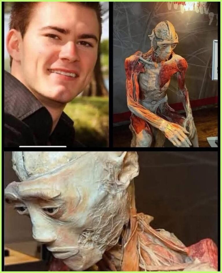 Una madre cree haber encontrado a su hijo en una exposición